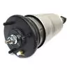 Range Rover Sport Air Strut Spring Assembly (LR016415) - With Roll ...