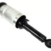 Strut and Air Spring Assembly, Rear, for LR4 and LR3 - LR038096 - 2005-2016
