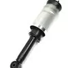 Complete Strut and Air Spring Assembly, Range Rover Sport - LR041110 ...